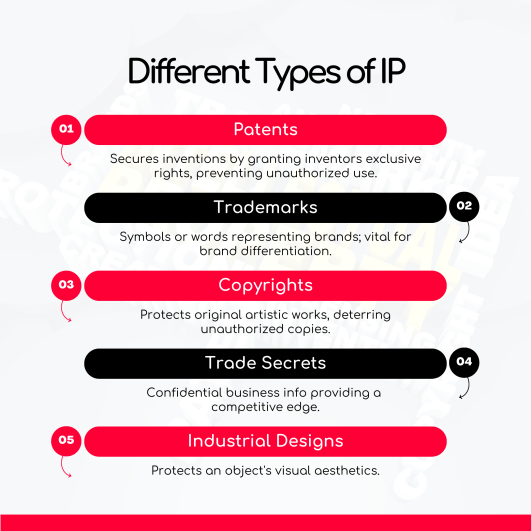 A Comprehensive Guide to Understanding the Different Types of IP ...