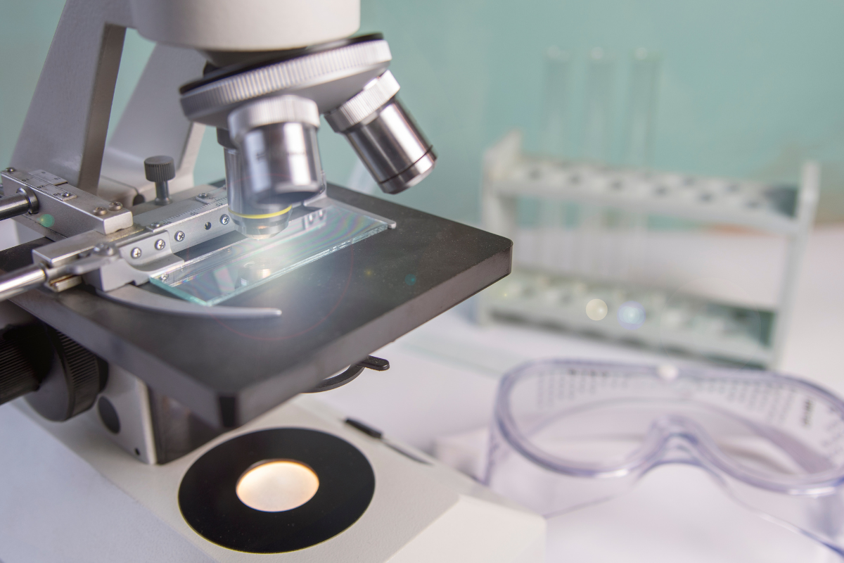 AI-Enhanced Microscope: A Game-Changer in Malaria Diagnosis ...